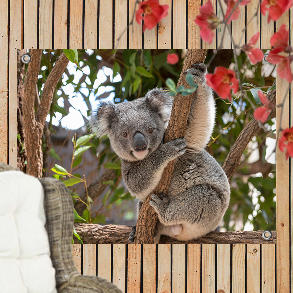Tuinposter Koala - Sweet Living Shop