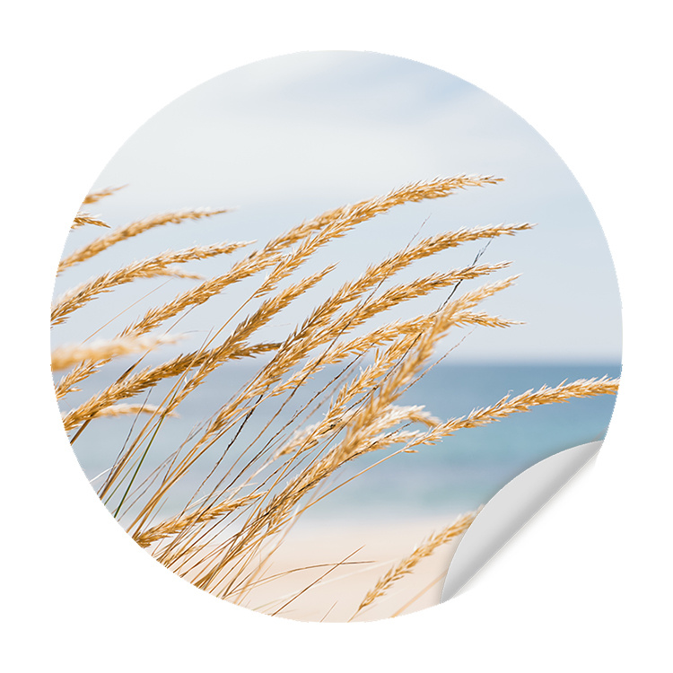 Muursticker Duingras aan Zee - Sweet Living Shop