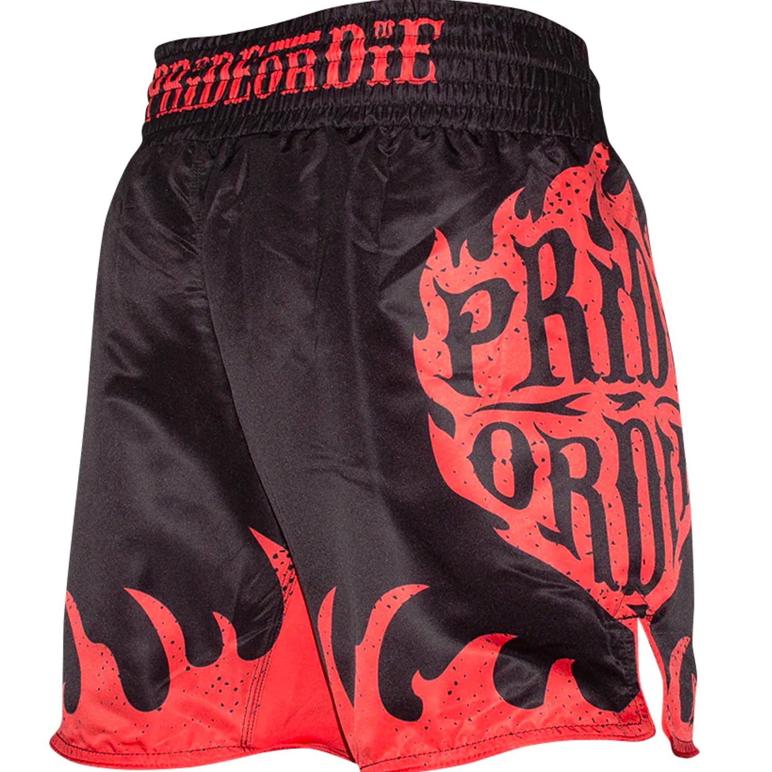 PRIDE or DiE Fight Shorts Reckless Flames Schwarz - Fightwear Shop ...