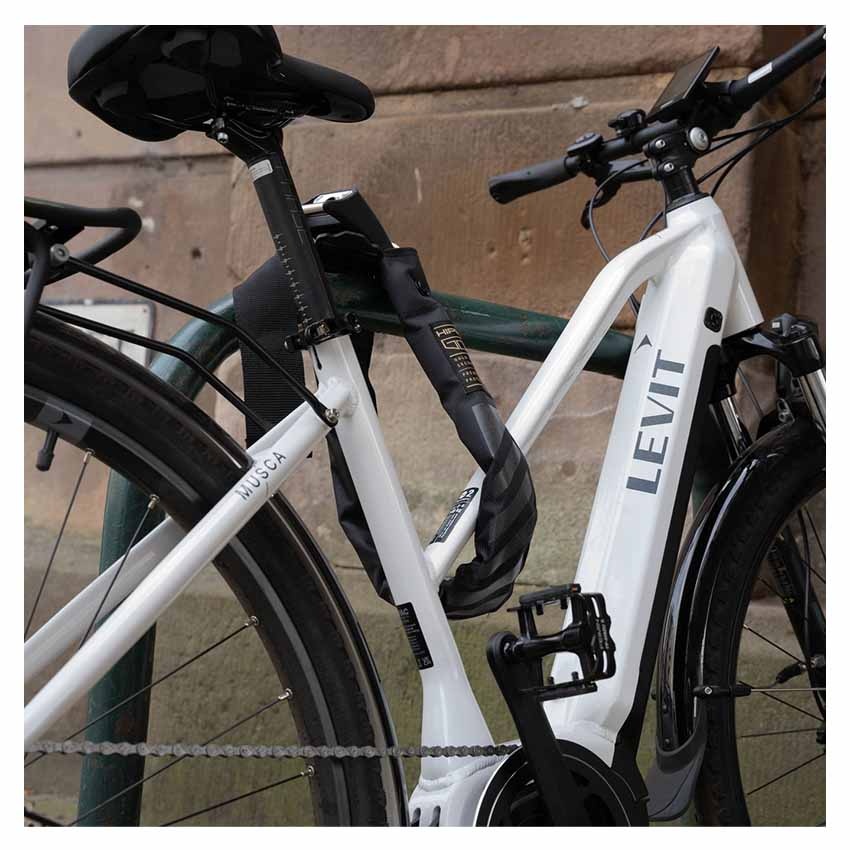 Hiplok - Gold Chain Lock - Biker Outfit