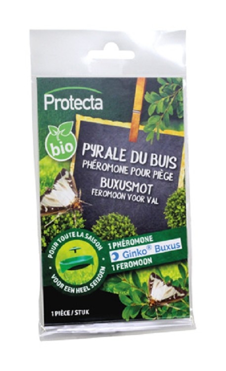 Protecta Ginko Buxus feromoon voor val - AllesTegenOngedierte.nl