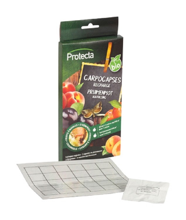 Protecta Pruimenmot navulling - AllesTegenOngedierte.nl