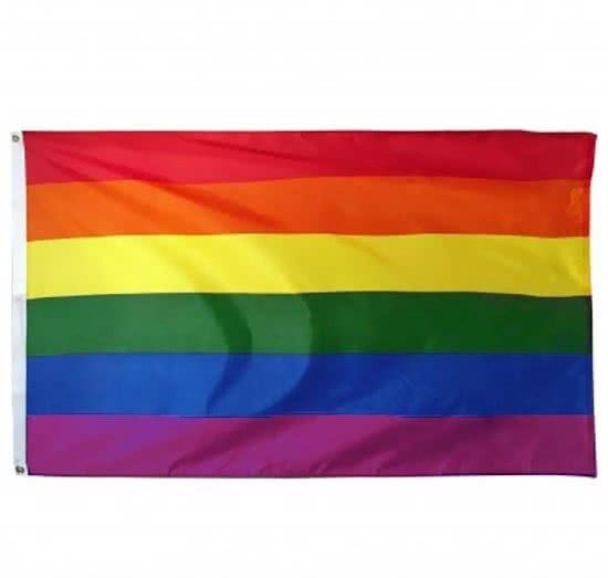 Vlag - Regenboog - 90x150cm - 1234feest.nl