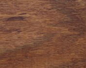 Choose between 130 Species - Cropp‘s Edelholzshop, Max Cropp e.K. Im ...