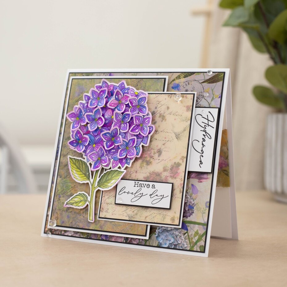 Hydrangea Stamp & Dies Statement Hydrangea (NG-HY-STD-STH) - Craftlines ...