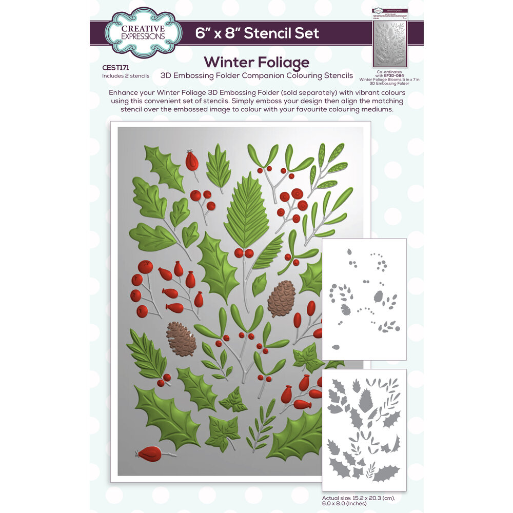 Winter Foliage Companion Colouring Stencil (CEST171) - Craftlines B.V.