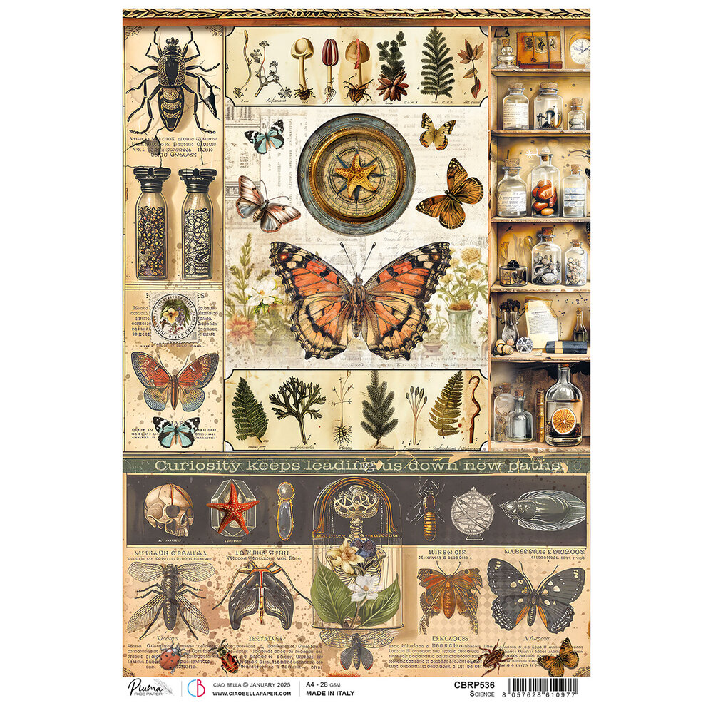 Cabinet of Curiosities A4 Rice Paper Science (5pcs) (CBRP536 ...