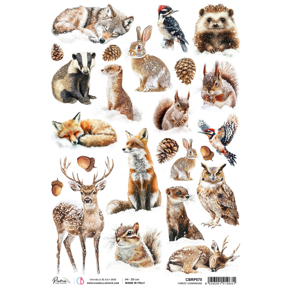 Forest Tales A4 Rice Paper Forest Companions (5pcs) (CBRP570 ...