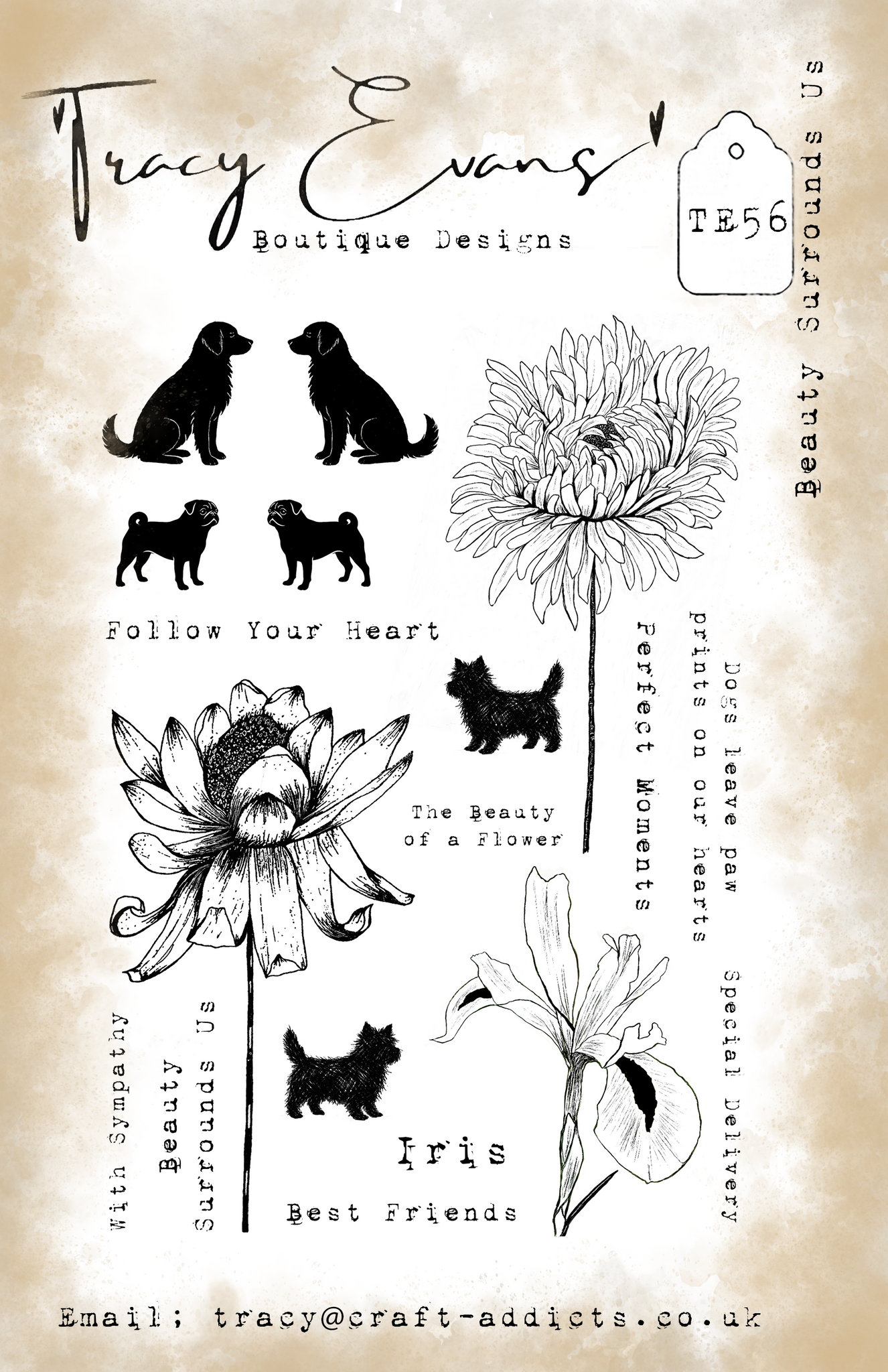 Beauty Surrounds Us A5 Stamp (TE056) - Craftlines B.V.