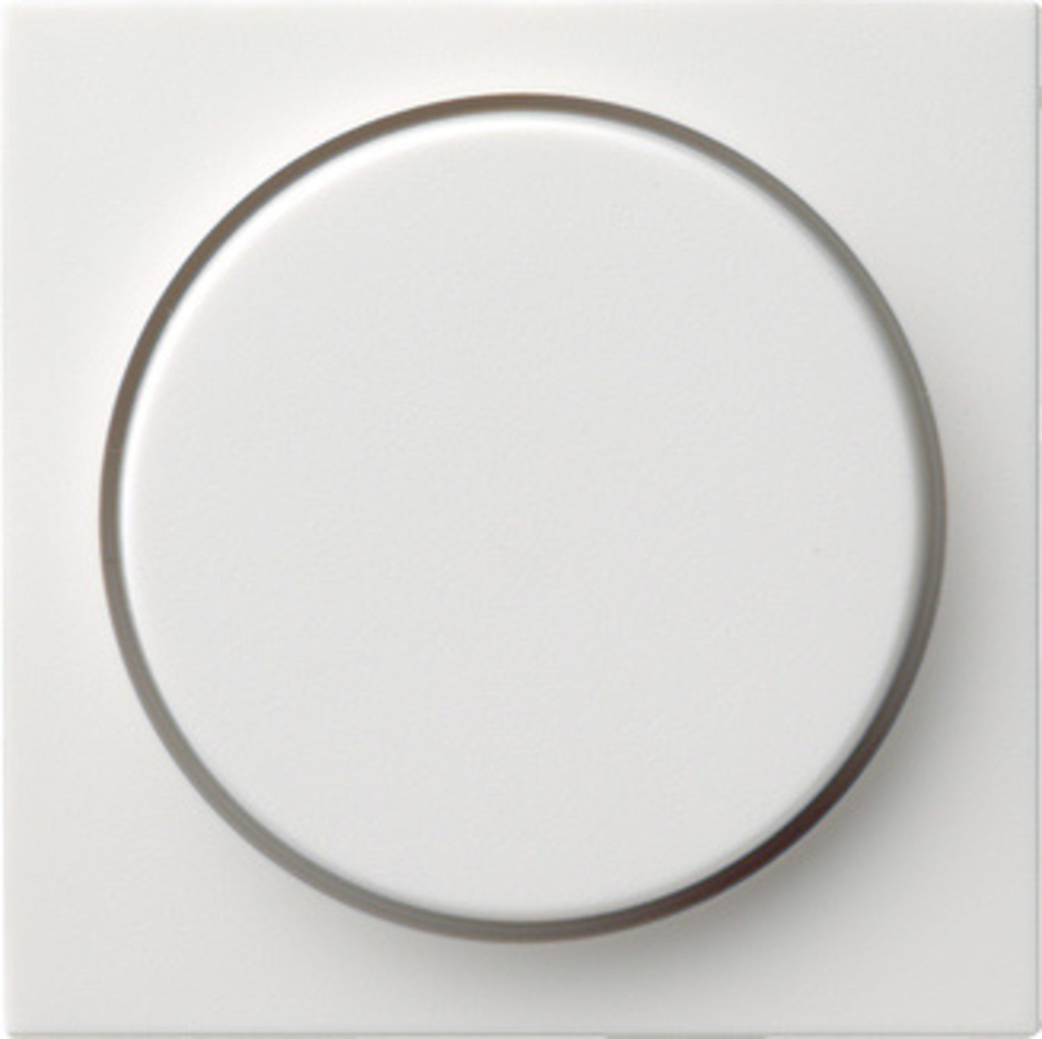 Gira Dimmer System 55