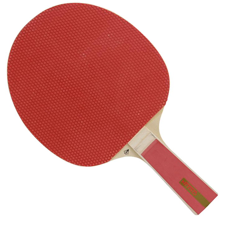 Dunlop Nitro Table Tennis Bat (2024) - Gannon Sports