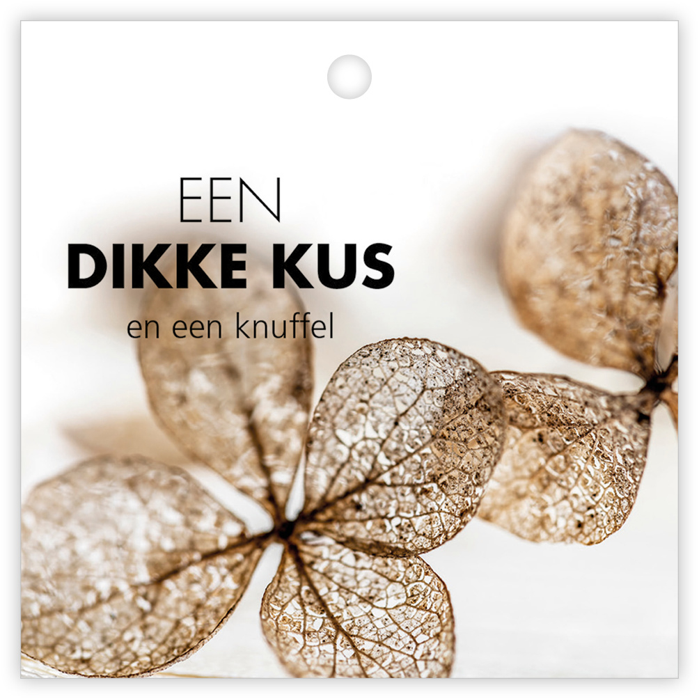 Kadokaartje Coral Rose 12 st. Een dikke kus en een knuffel - give-x