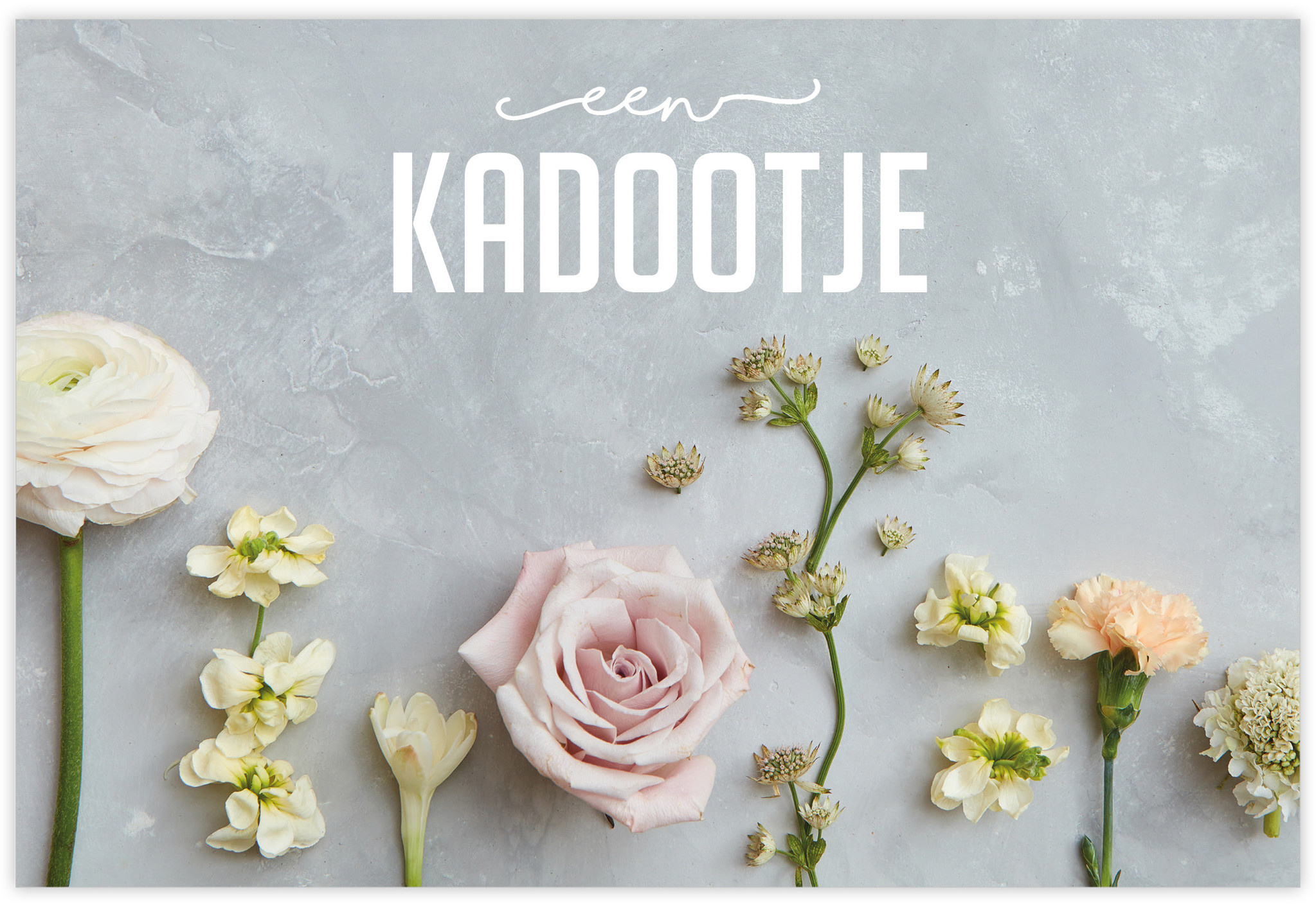 Kadobon Easy 25 st. Een kadootje - Give-X | Kaarten & kadootjes voor ...