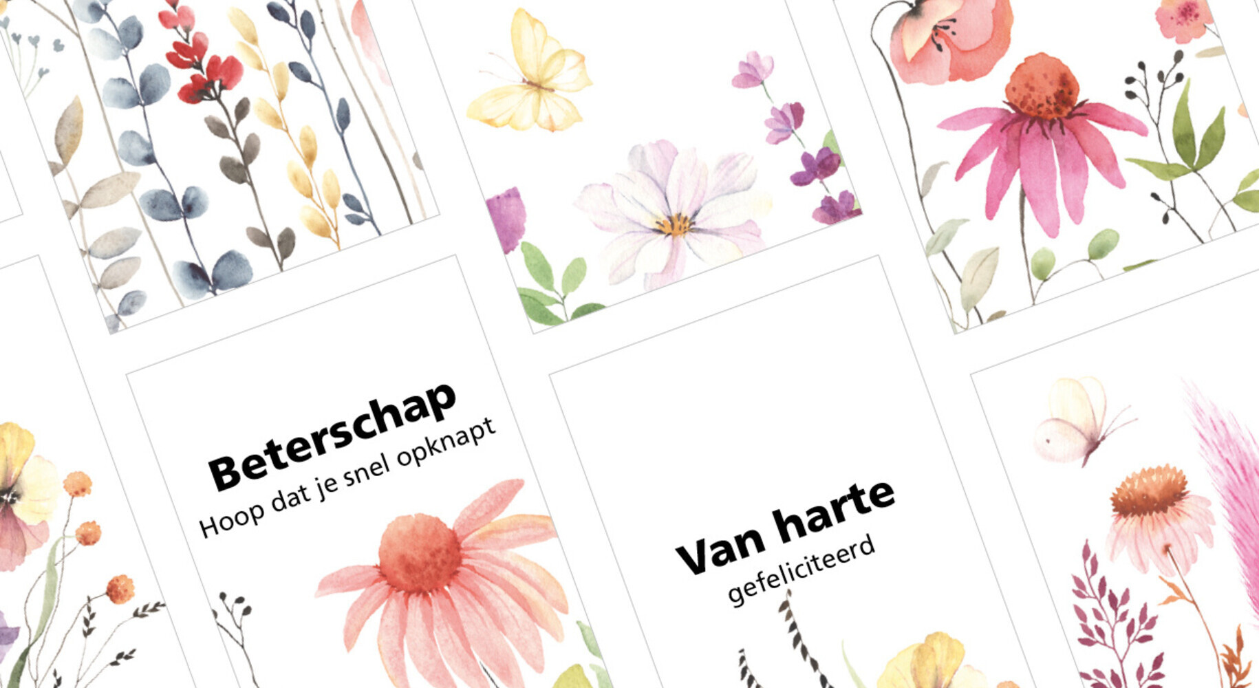 Nieuwe collectie kado-, wenskaarten en nog veel meer I Give-X - give-x