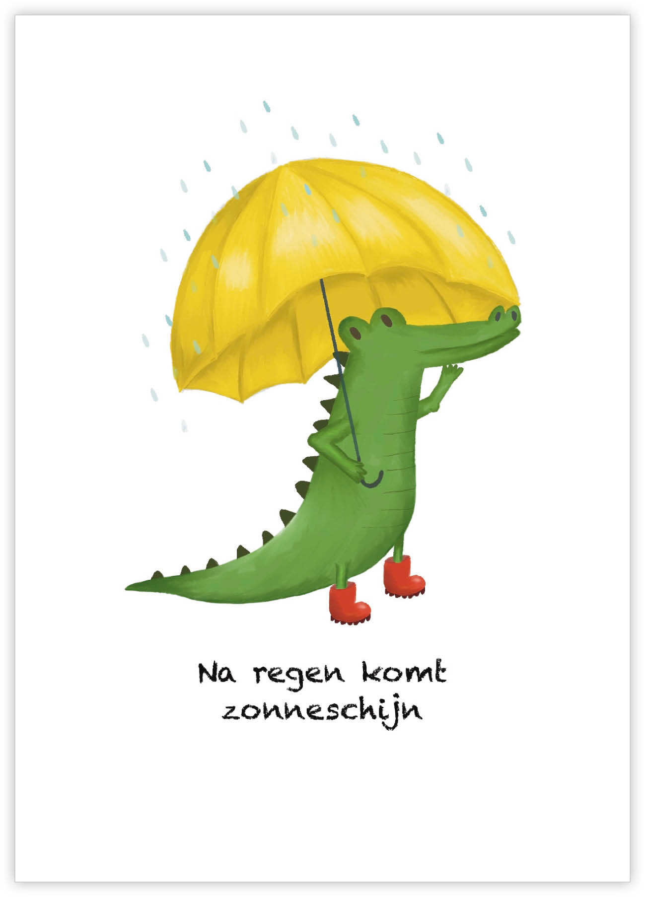 Postkaart Studio Bir 12 st. Na regen komt zonneschijn - Give-X ...