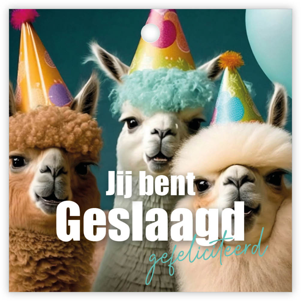 Kadokaartje Geslaagd 12 st. Jij bent geslaagd gefeliciteerd - give-x