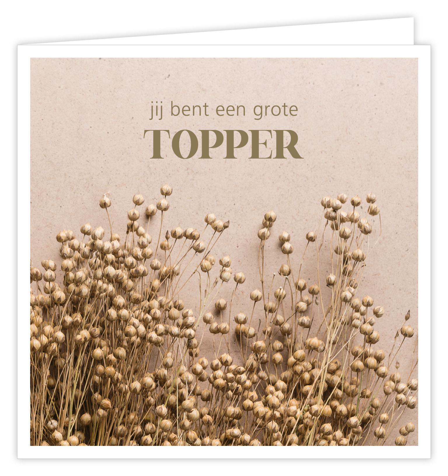 Wenskaart Pampas 6 st. Jij bent een grote topper - give-x