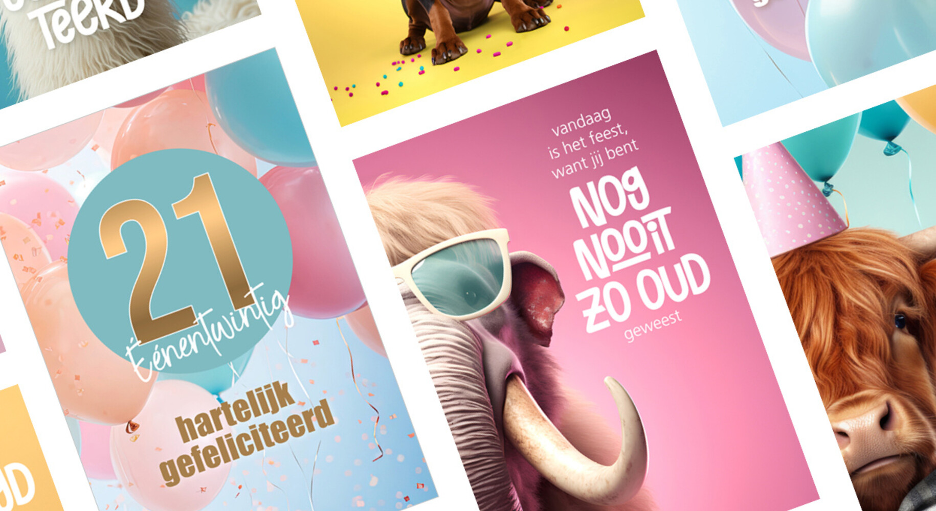 Nieuwe collectie kado-, wenskaarten en nog veel meer I Give-X - give-x