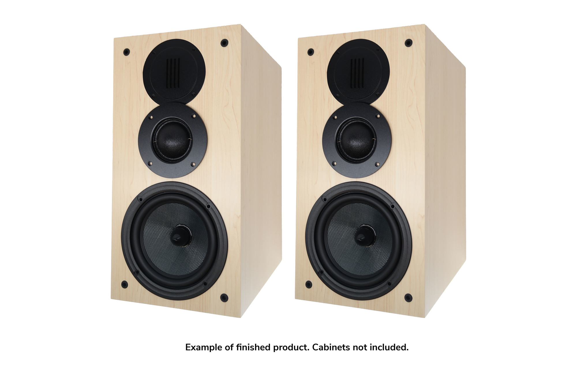 Order the hivi DIY3.1-A Speaker Components - SoundImports