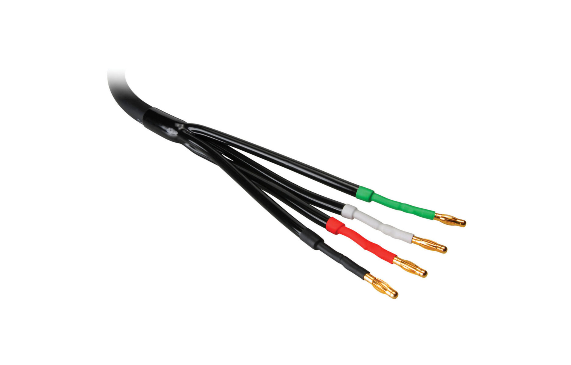 Order the Cable Pants 11mm 4-Conductor Black - SoundImports