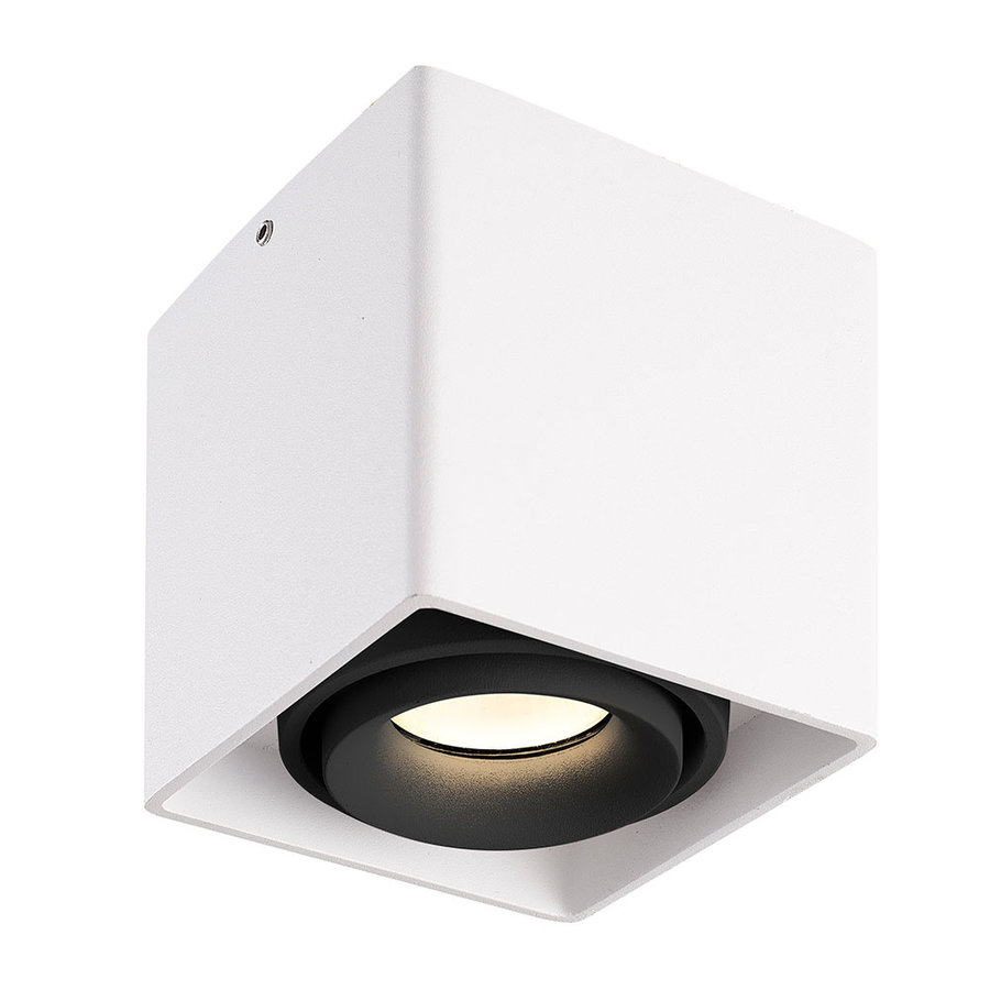 Dimbare LED opbouw plafondspot Esto Wit met zwarte afdekring IP20 ...