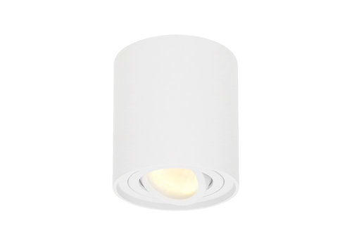 4x Dimmable LED surface mounted spotlight Ray Black IP20 tiltable