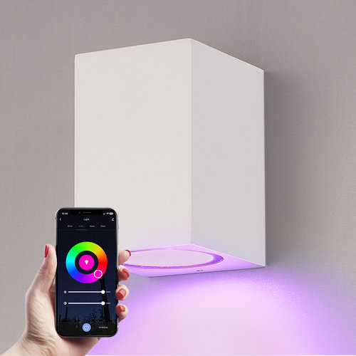 Smart Wall lights | Controllable with App & Smart Assistant