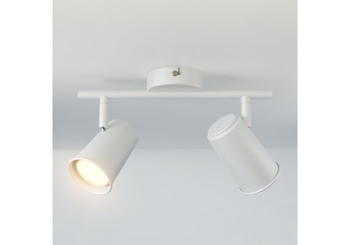 Plafondlampen met 2 spots