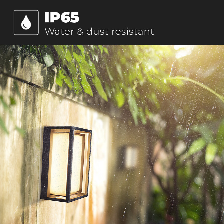 Brandon LED wandlamp - 3000K - 12 watt - IP54 - Zwart