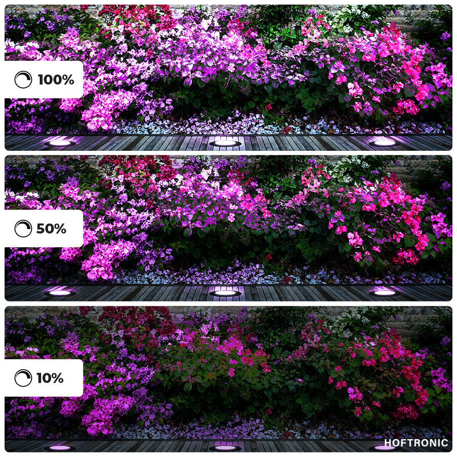 Set of 6 Lilly smart LED Ground Spots – RGB + WW - IP67 - Black