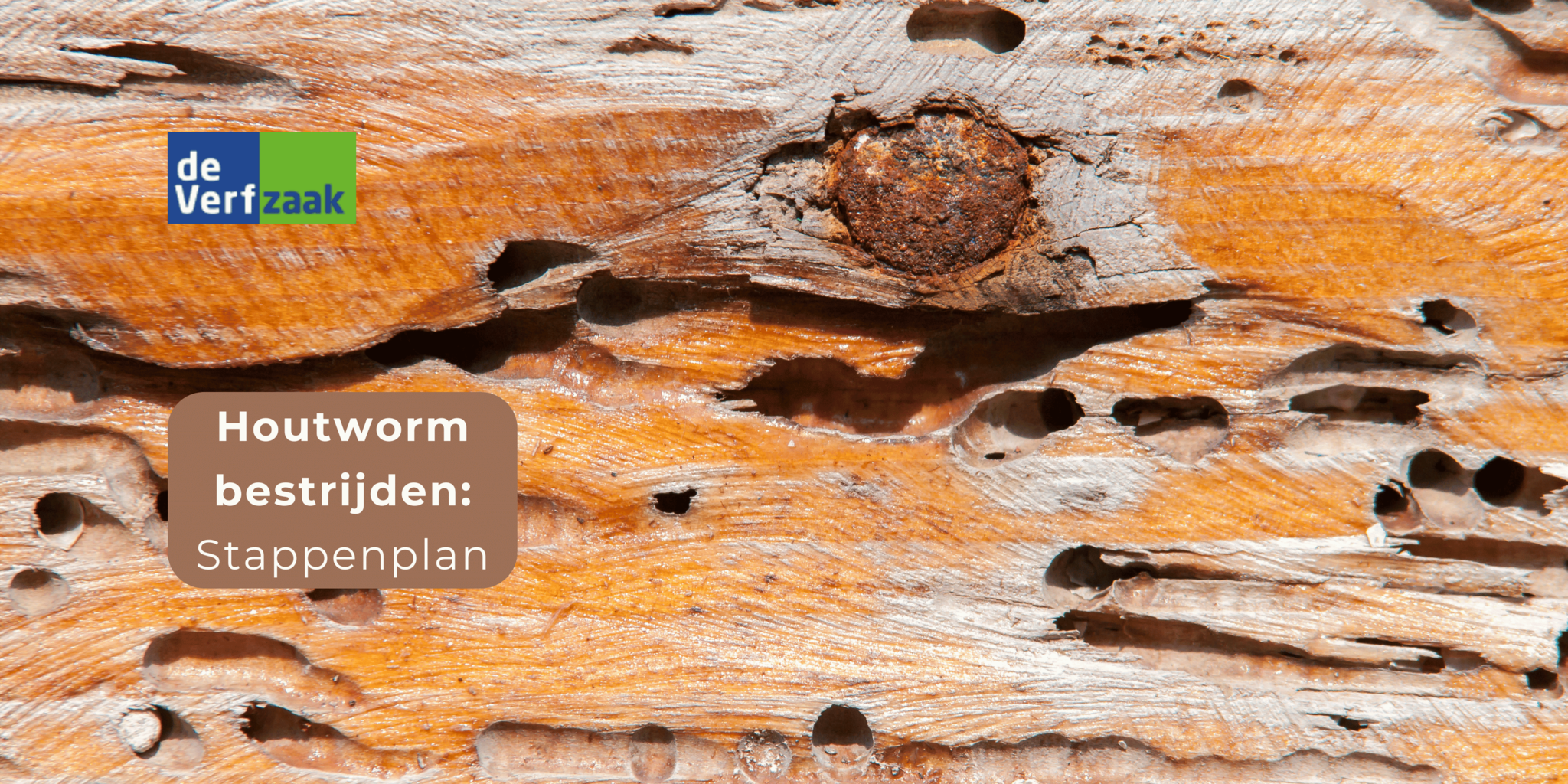Houtworm bestrijden en behandelen: zo doe je dat!
