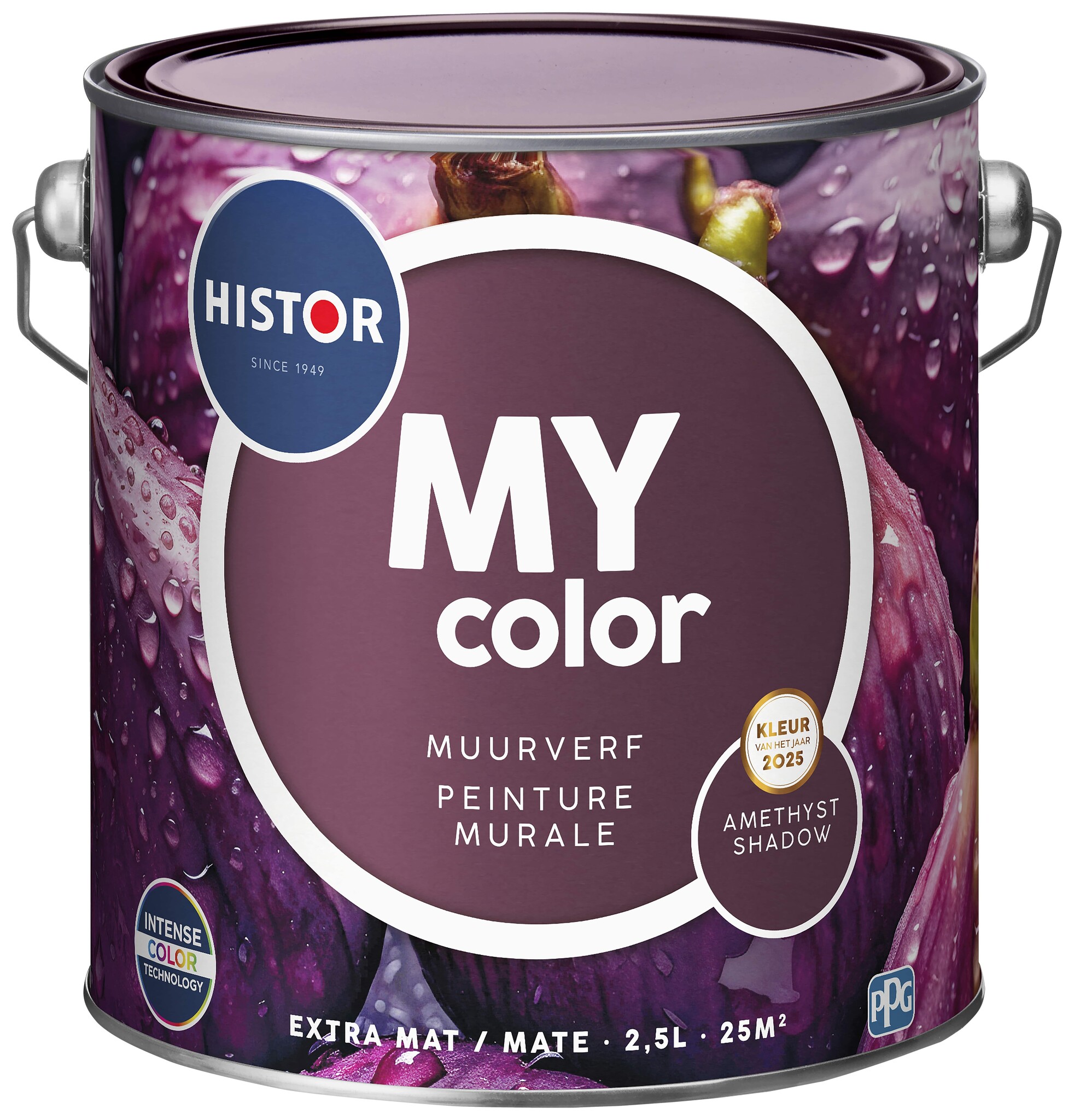 Histor My Color - Amethyst Shadow