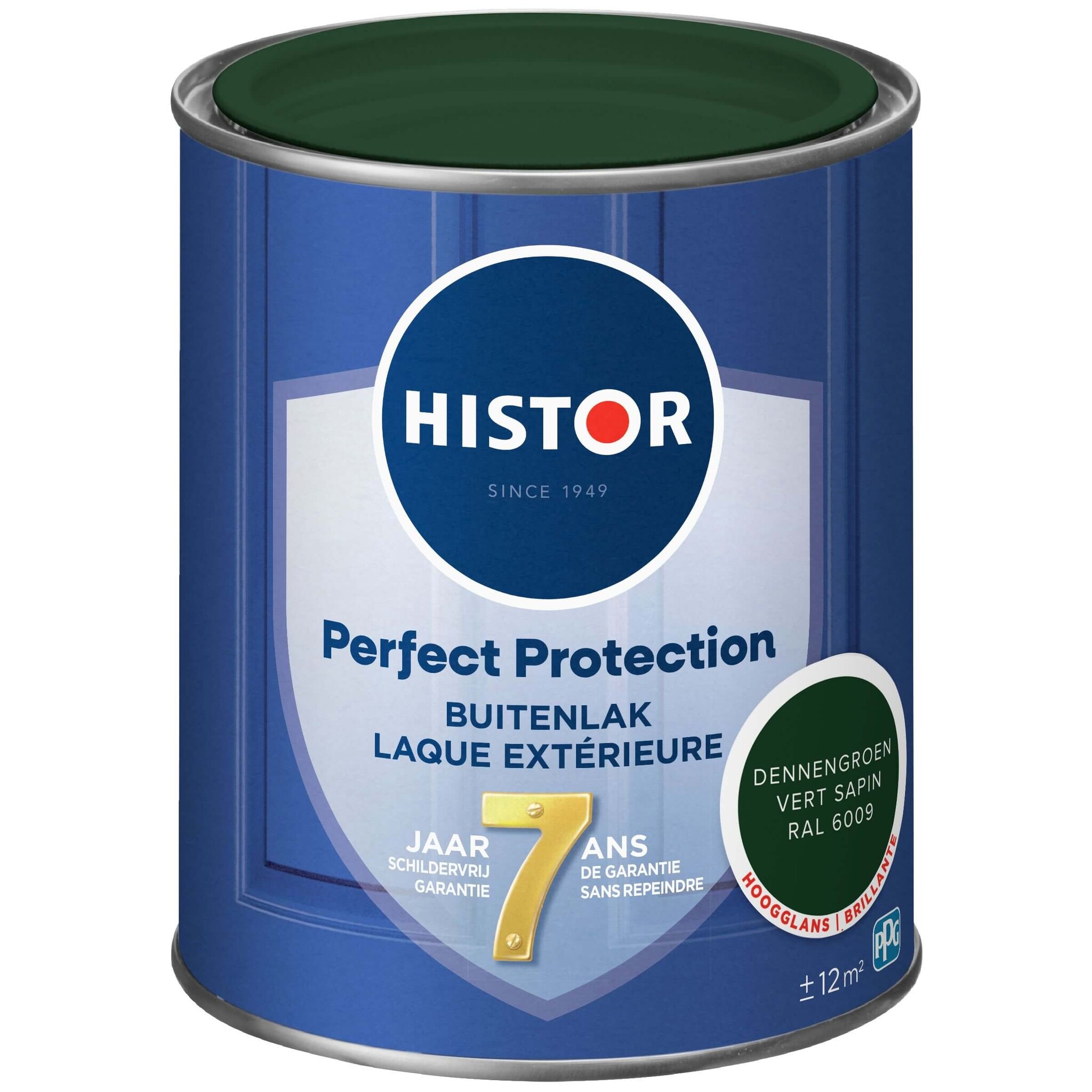 Perfect Protection Buitenlak Hoogglans - RAL 6009 Aanbieding – Beste Prijs!