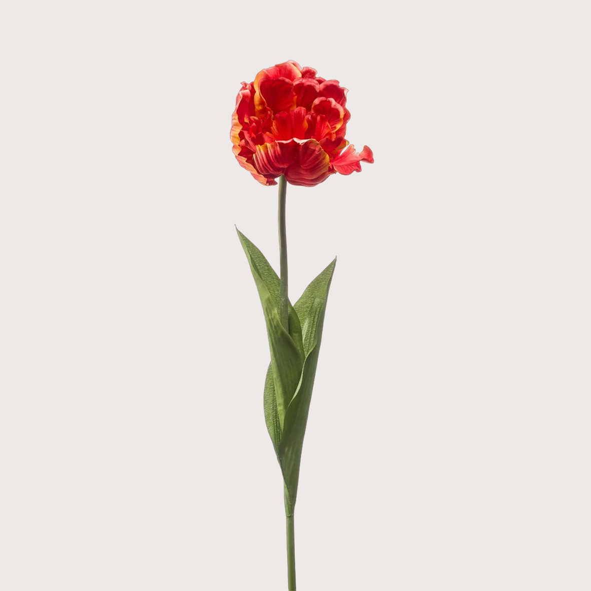 Tulp Oranje Met Blad H66 - Pot & Vaas Sfeermakers