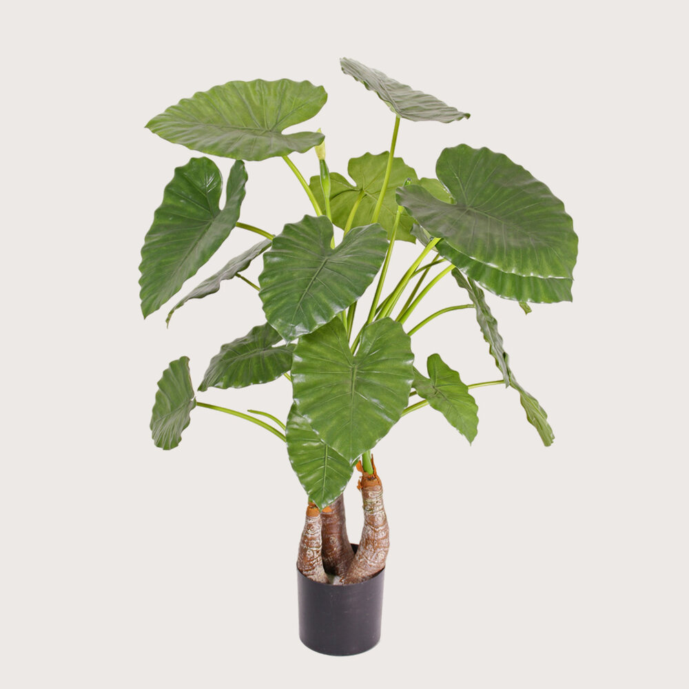 Alocasia Calidora Green H120 D110 - Pot & Vaas Sfeermakers