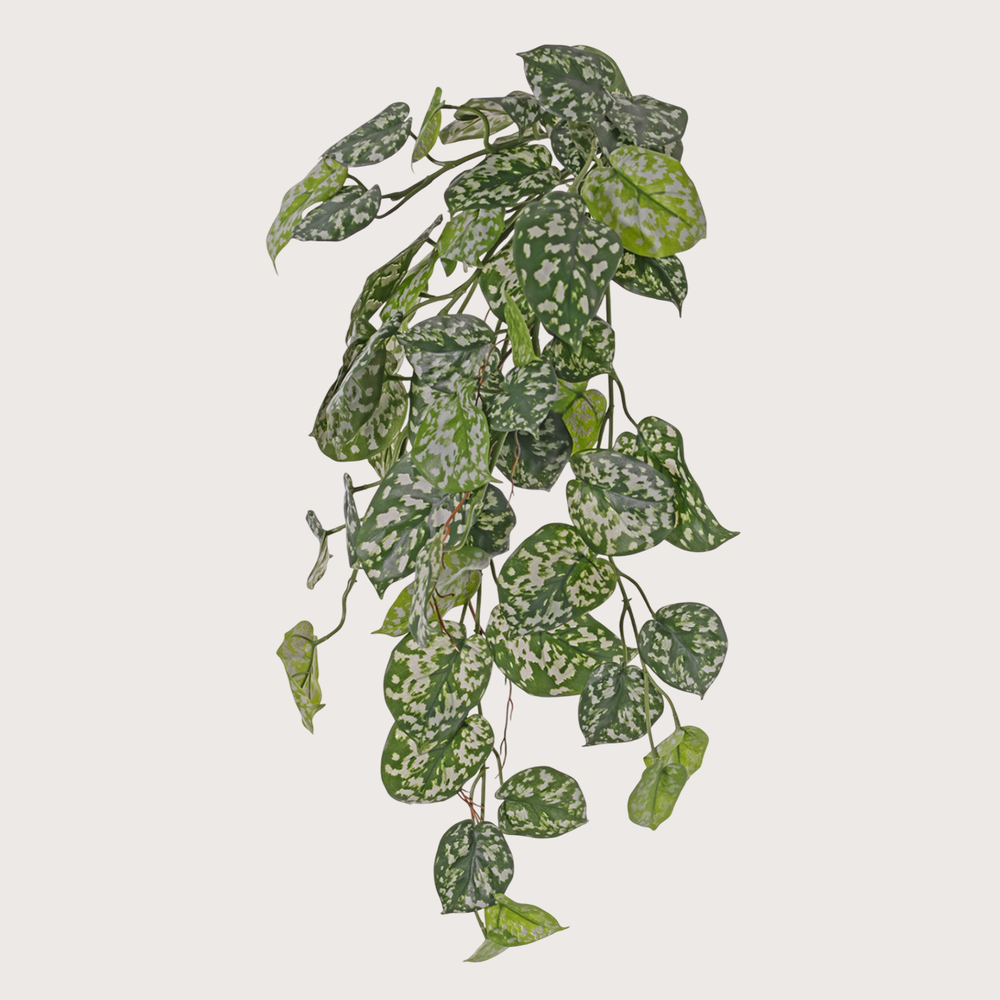 Scindapsus hangplant UV bestendig H72 - Pot & Vaas Sfeermakers