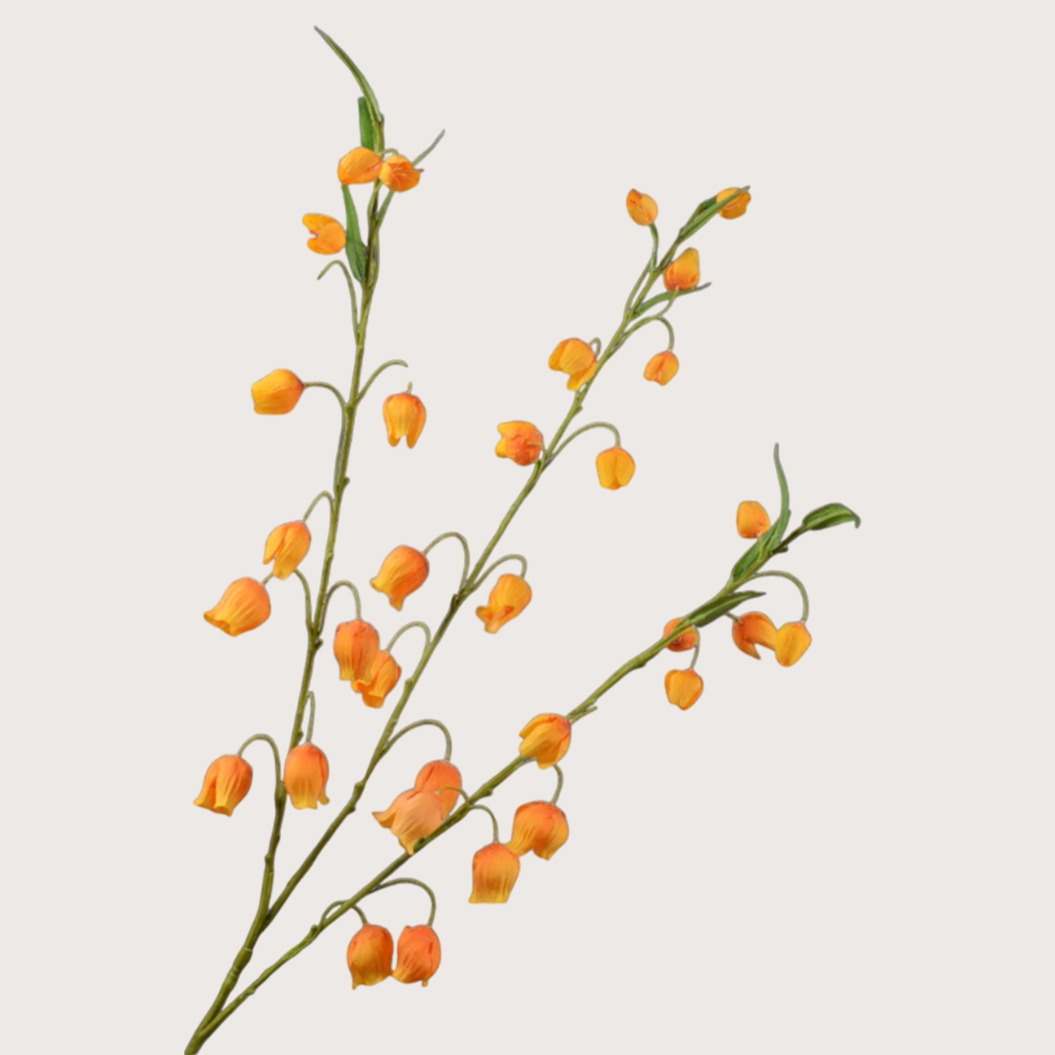 Sandersonia branch orange H103 - Pot & Vaas Sfeermakers