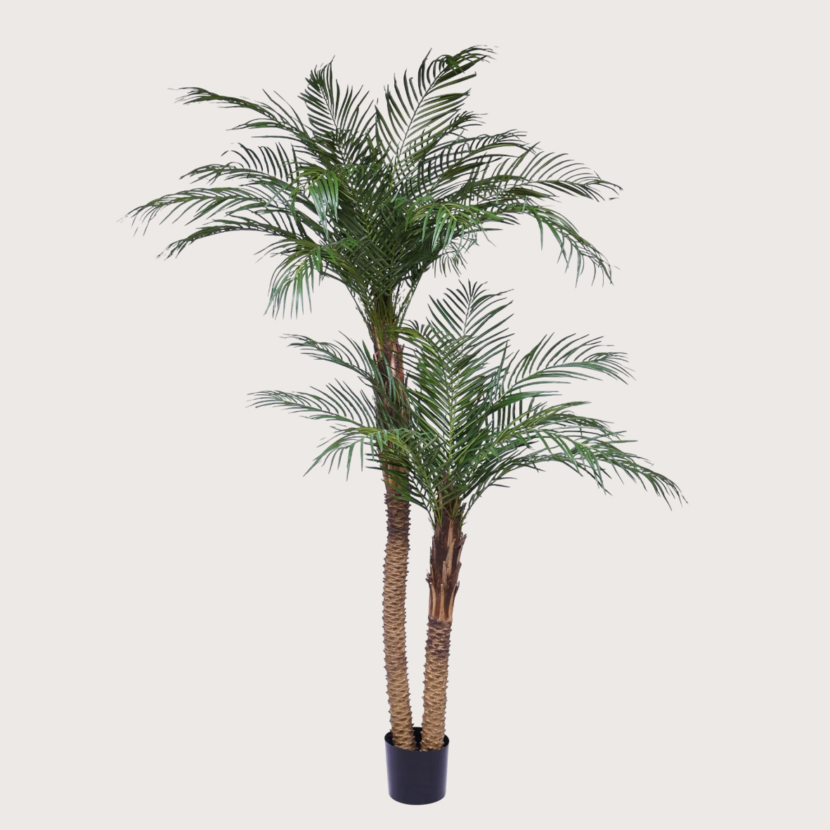 Phoenix Palm H225 D140 - Pot & Vaas Sfeermakers