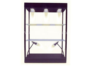 LED Lighted Display Case - 2 Adjustable Shelves - Linkwow