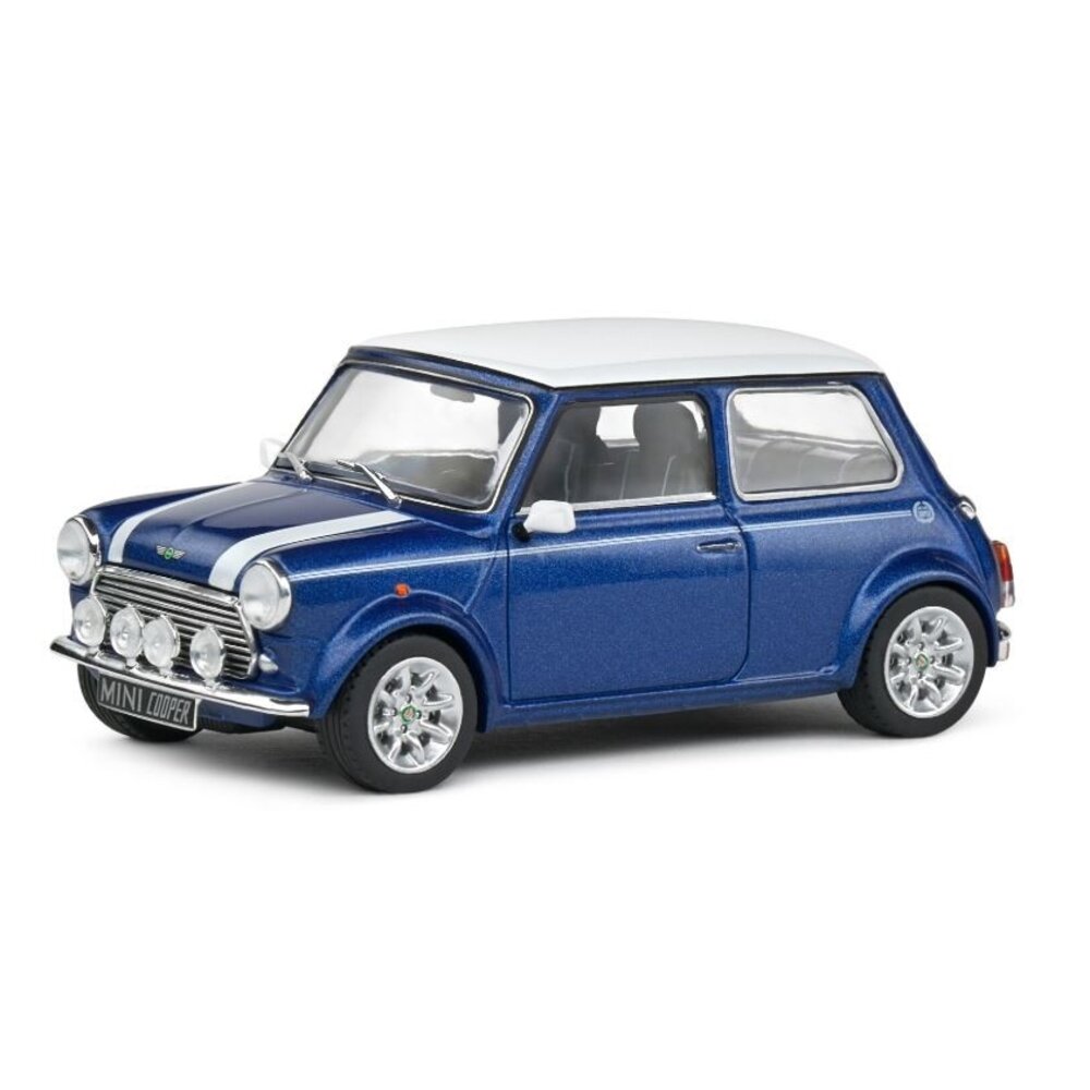 Citroen Ami 6 1961 - 1:43 - Solido - HMKT