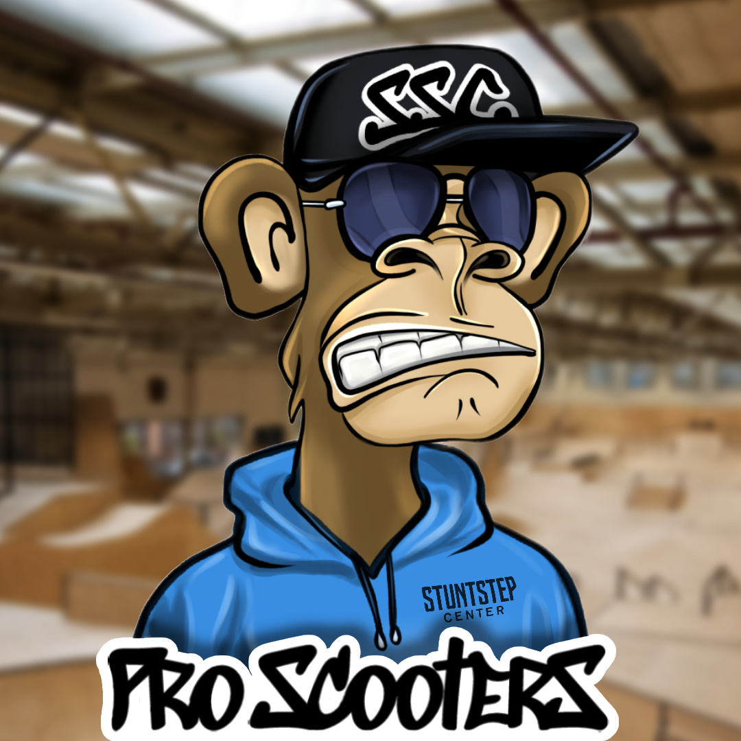 SSC Stuntstep Les Pakket - Stuntstepcenter.nl