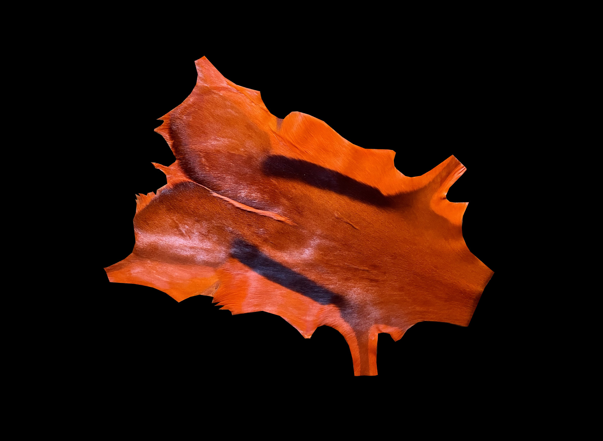 Springbok fur ORANGE SA005 - Zebra-Zebra