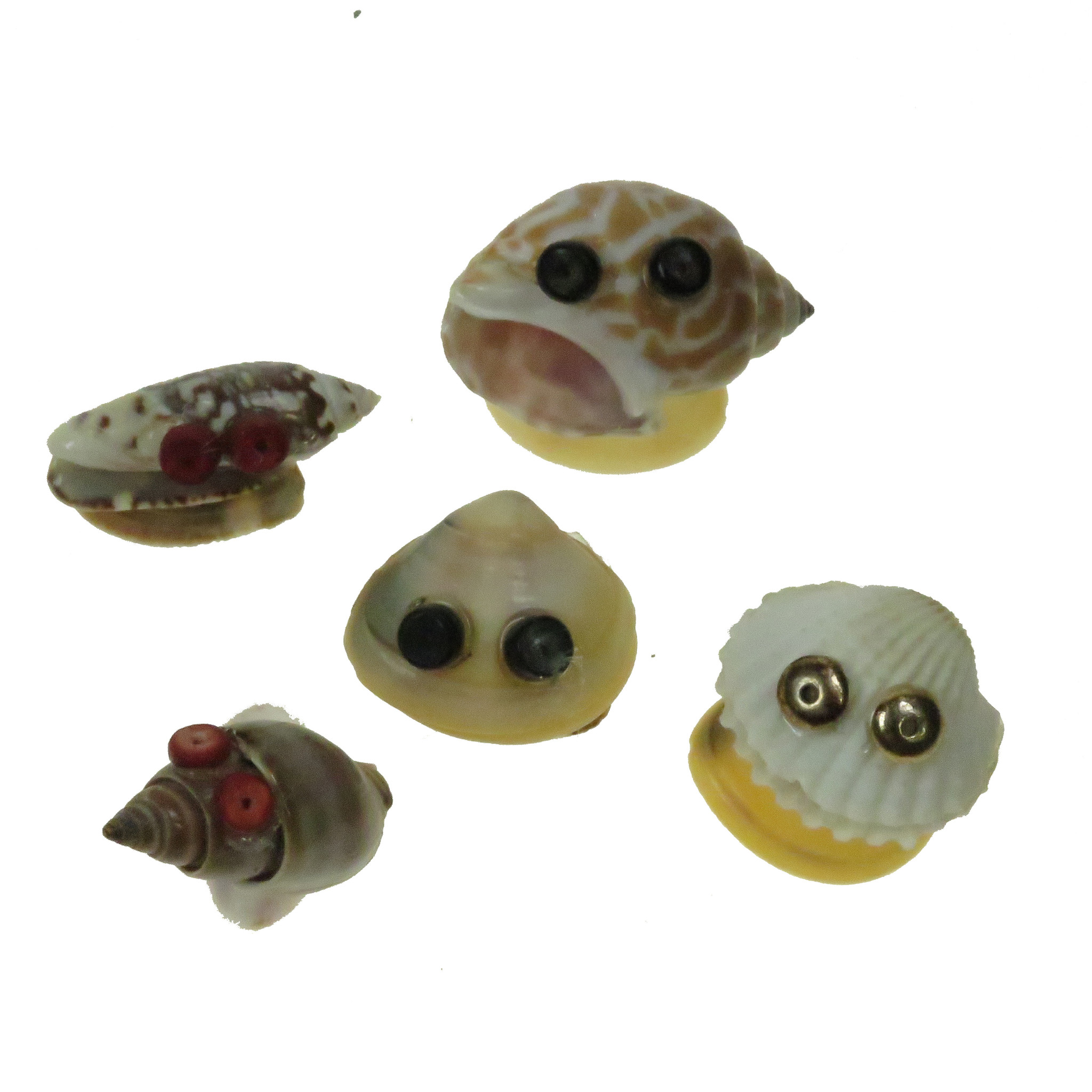 Monster Family Craft Kit for Children, , Seashell shell Craft kit - Shellco