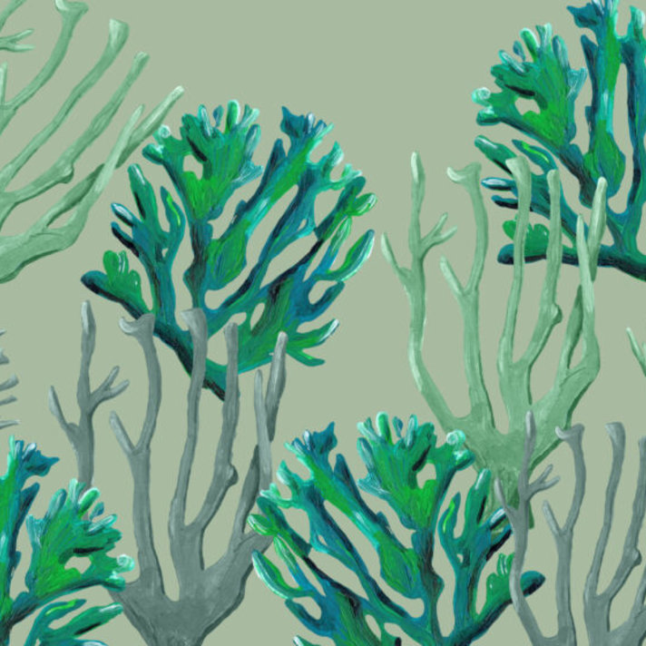 Catchii Coastal Coral Red