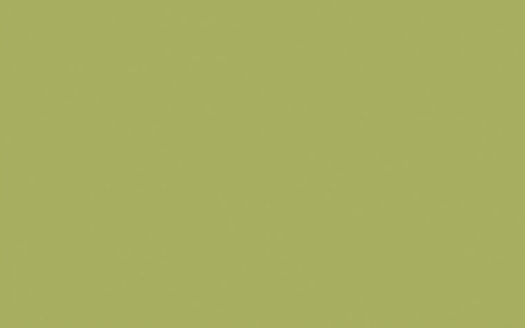 Little Greene - Boxington (84)