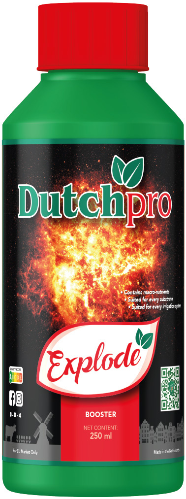 DutchPro Explode 250 ml - Green Trading XXL