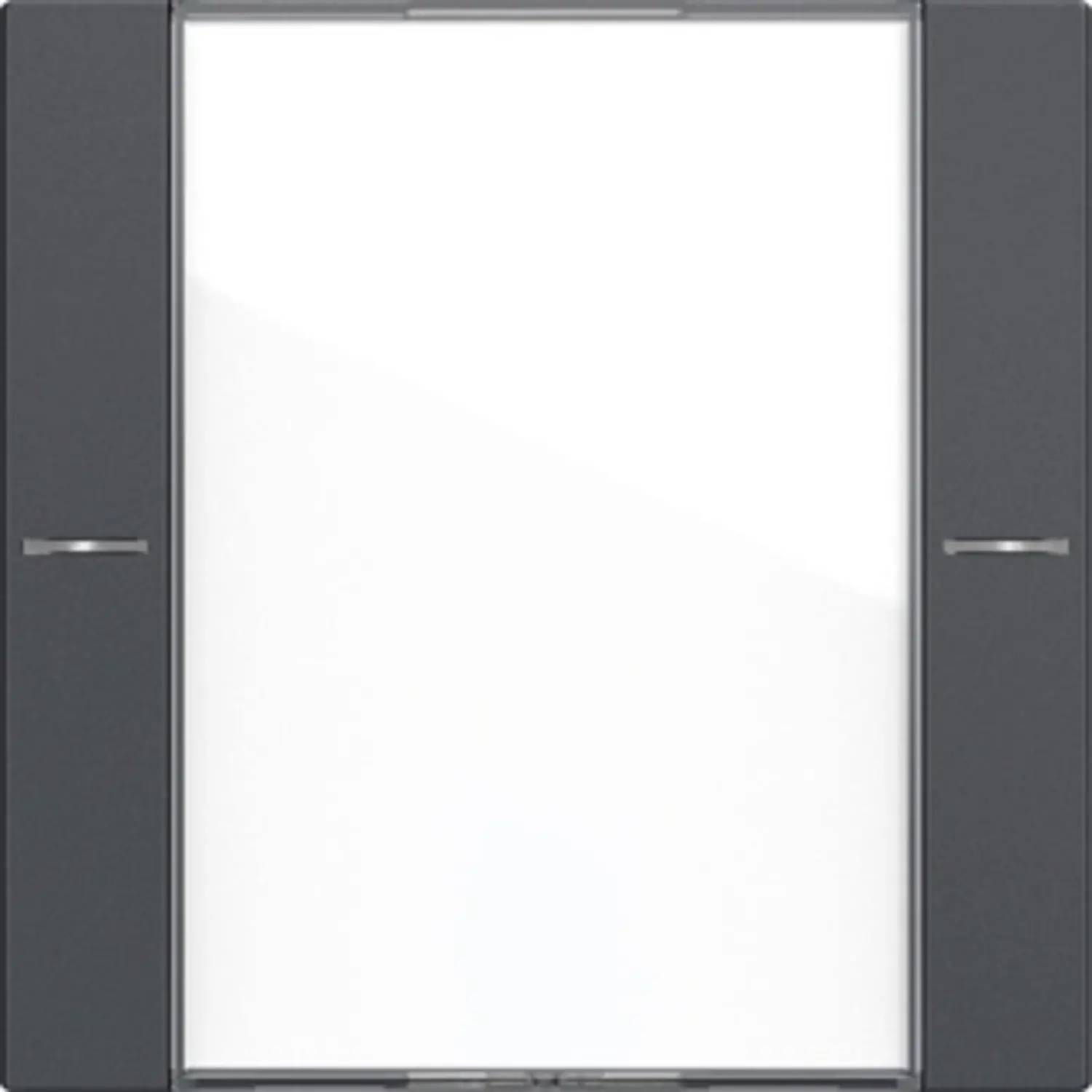 Gira Systeem 55 Toets bussysteem - Girastore.nl