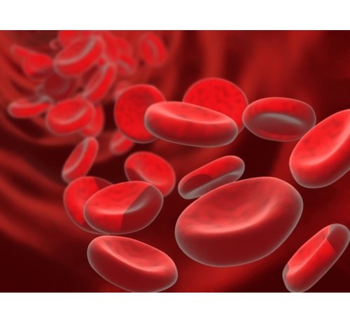 Reticulocyten - Bloedwaardentest B.V