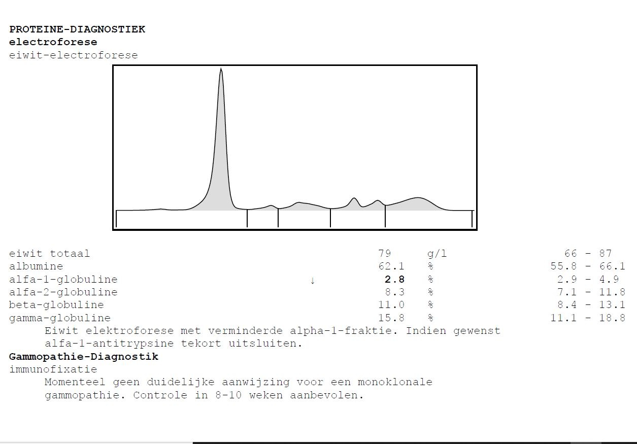 Globuline: Eiwitspectrum totaal - Bloedwaardentest B.V