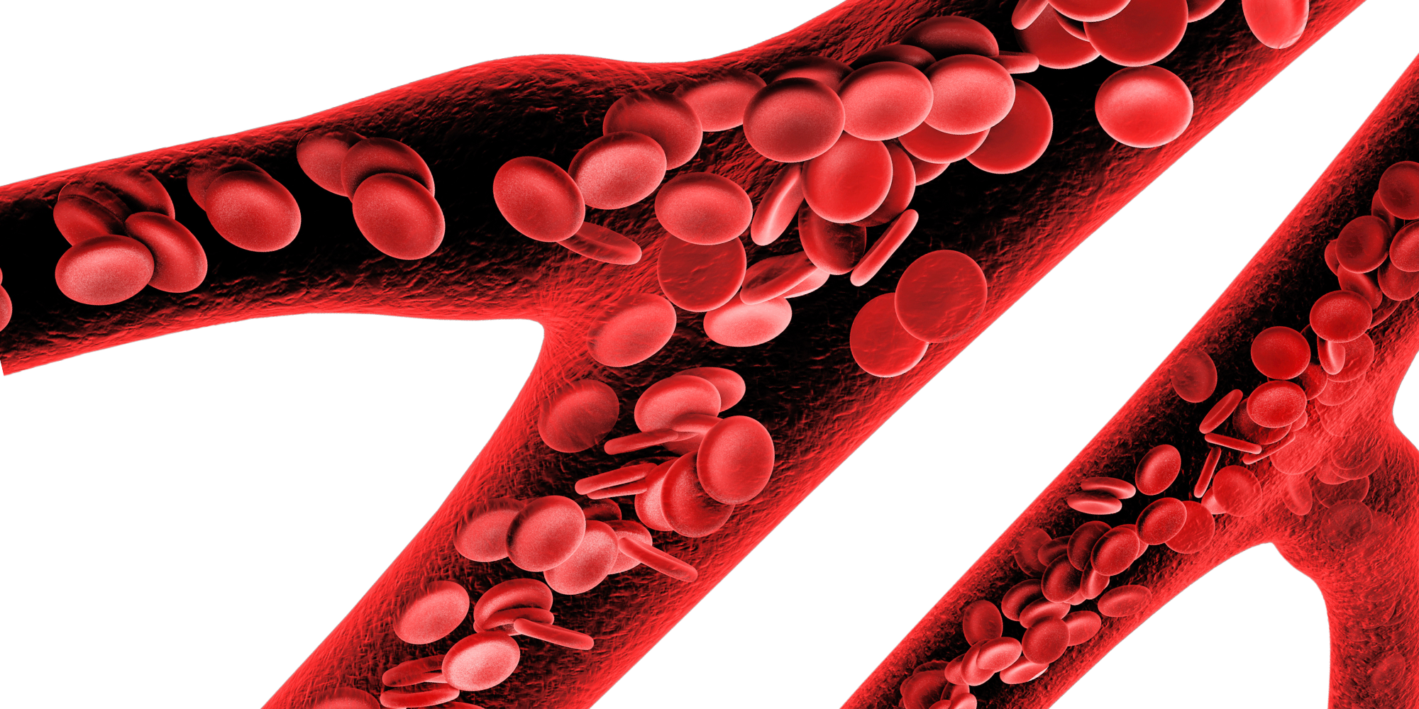 Wat is een normale hematocriet waarde? - Bloedwaardentest B.V